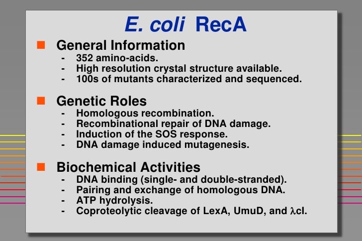 Evolution of the RecA Protein: from Systematics to Structure 1995 tal…