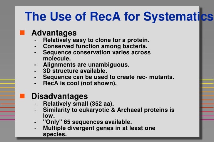 Evolution of the RecA Protein: from Systematics to Structure 1995 tal…