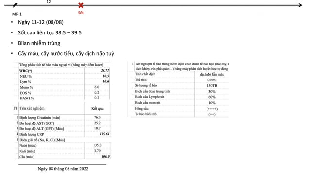 Ca LS CTSN nặng.pptx