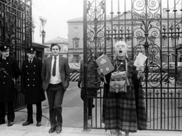 The Rise and Fall of the Irish Celtic Tiger | PPT