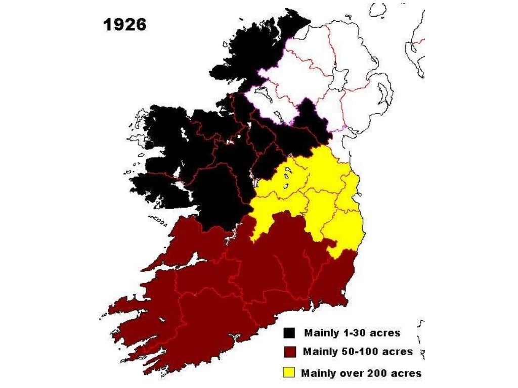 The Rise and Fall of the Irish Celtic Tiger