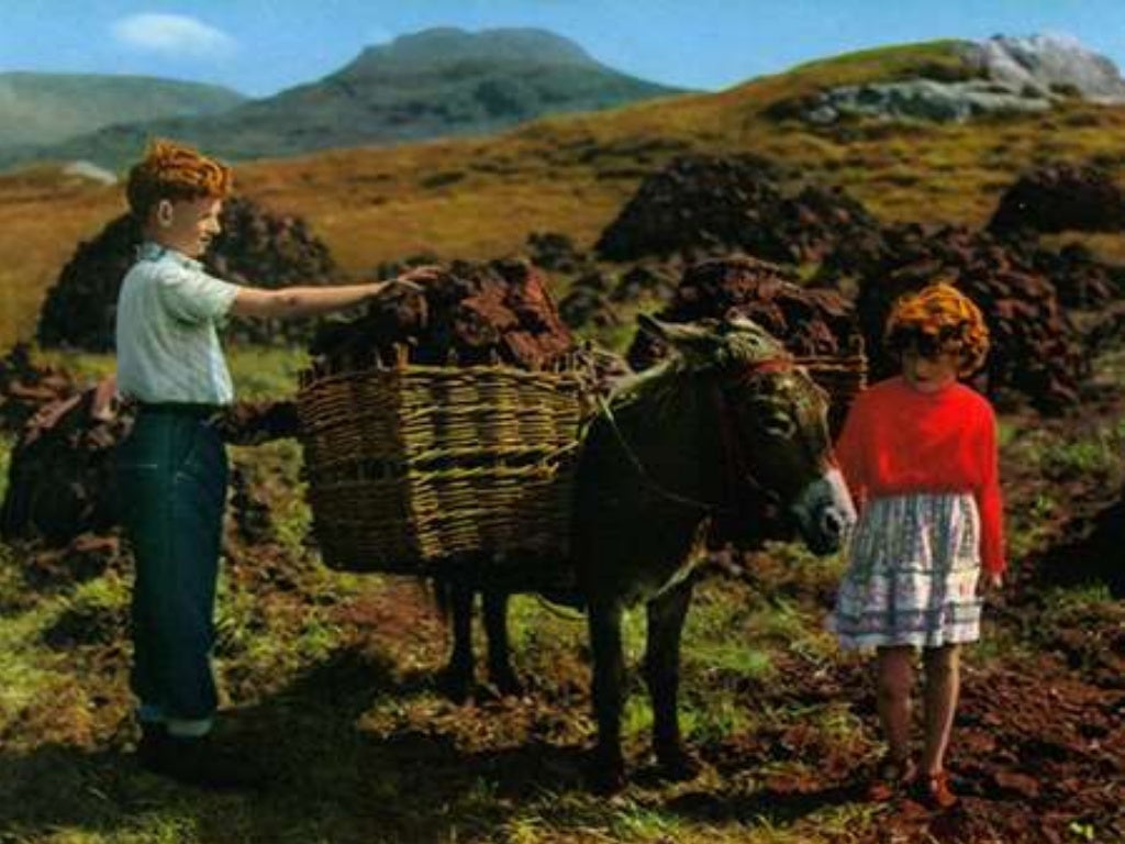 The Rise and Fall of the Irish Celtic Tiger