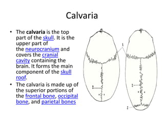 Calvarial bone graf harvesting | PPTX