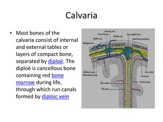 Calvarial bone graf harvesting | PPTX