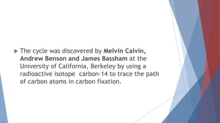 CALVIN- BENSON CYCLE (DARK REACTIONS).pdf