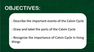 calvin-cycle.pptx general biology 1 lessons | PPTX