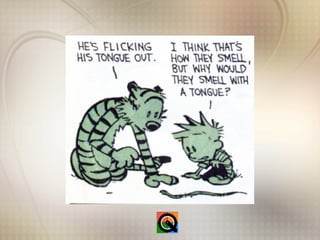 Calvin And Hobbes Learning Is Fun Ppt
