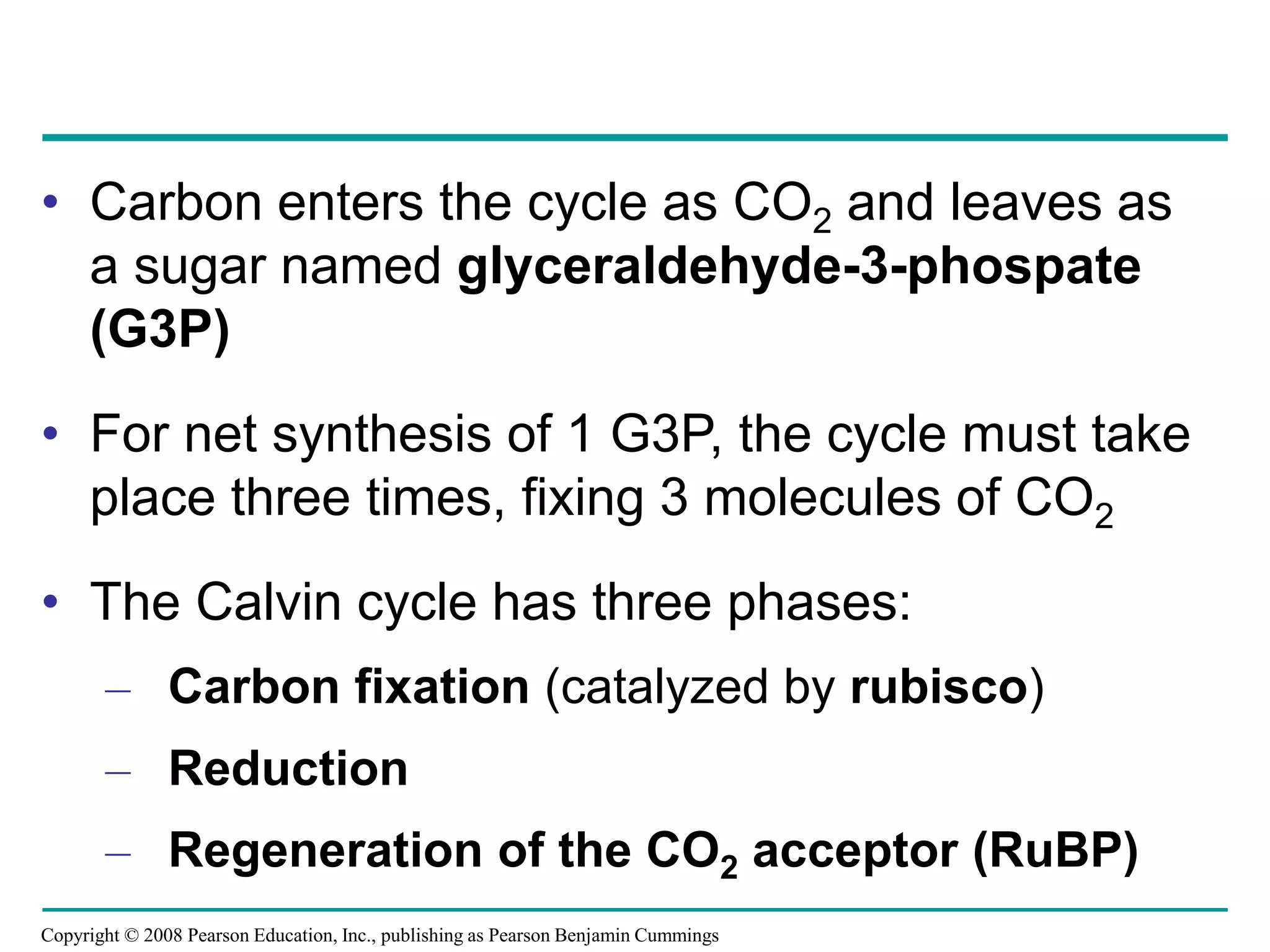Calvin cycle | PPT