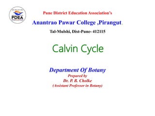 Calvin cycle | PPT