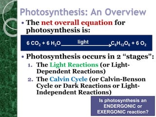 Calvin cycle | PPTX