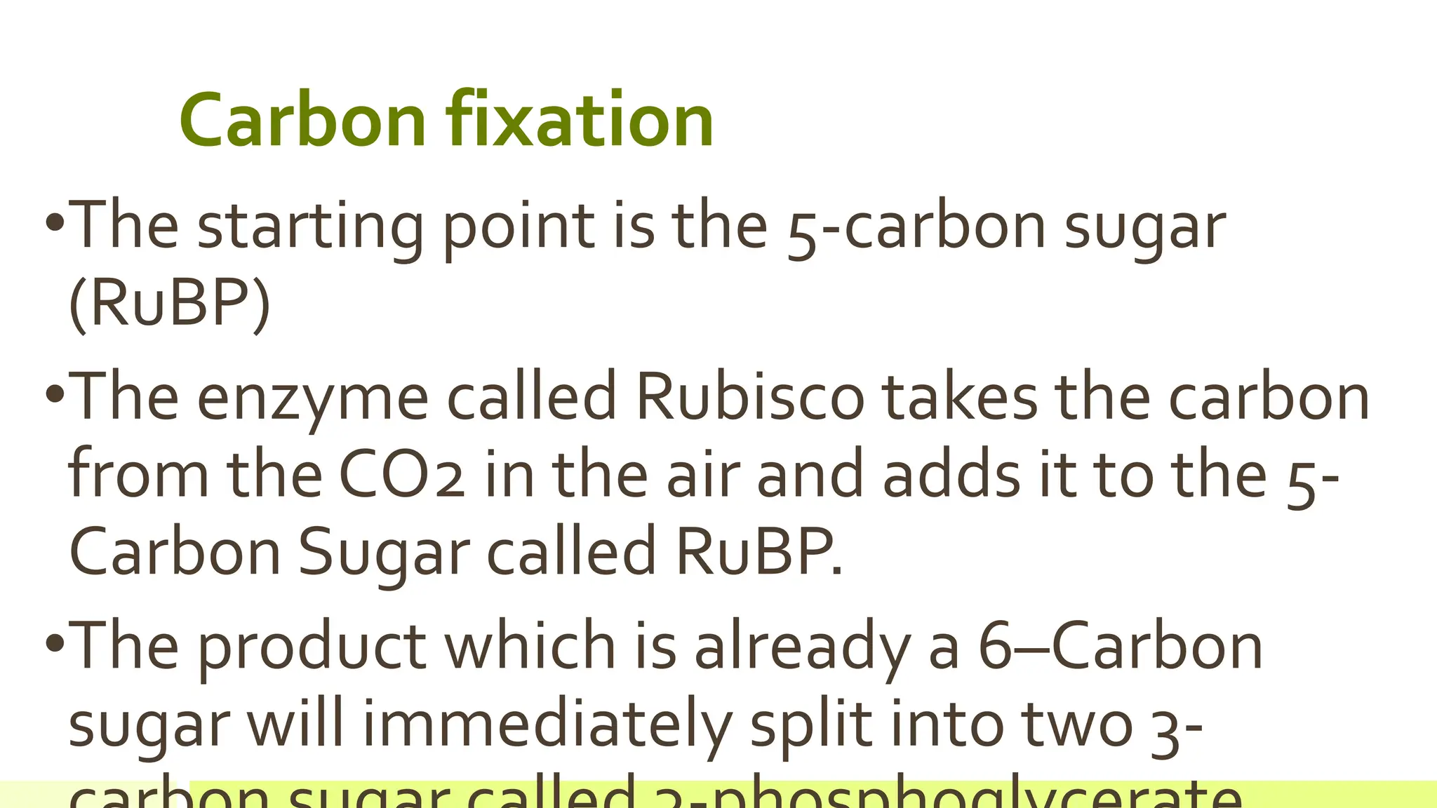 Calvin cycle general biology 2 stem 11pptx | PPTX