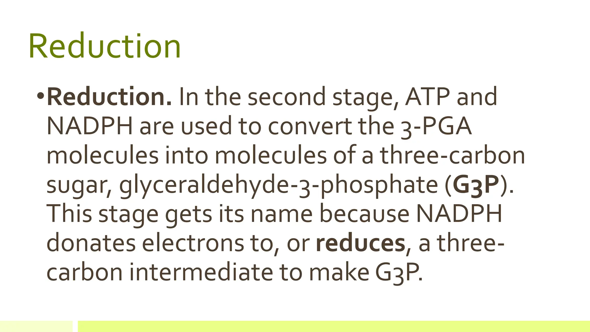 Calvin cycle general biology 2 stem 11pptx | PPTX