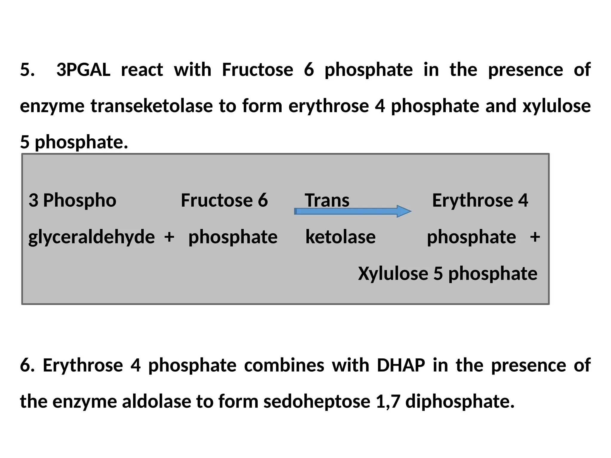 Calvin cycle of photosynthesis processes | PPTX