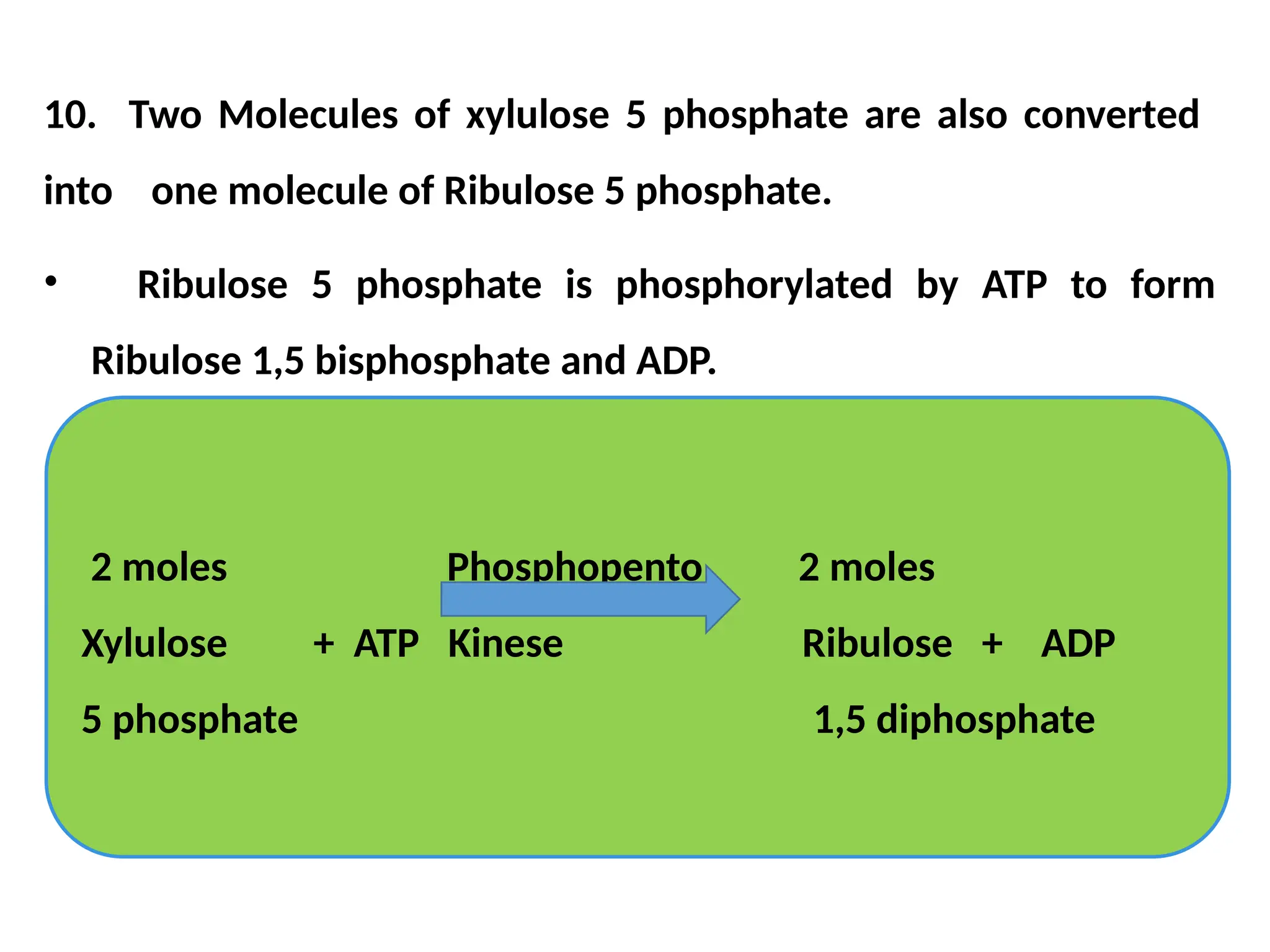 Calvin cycle of photosynthesis processes | PPTX