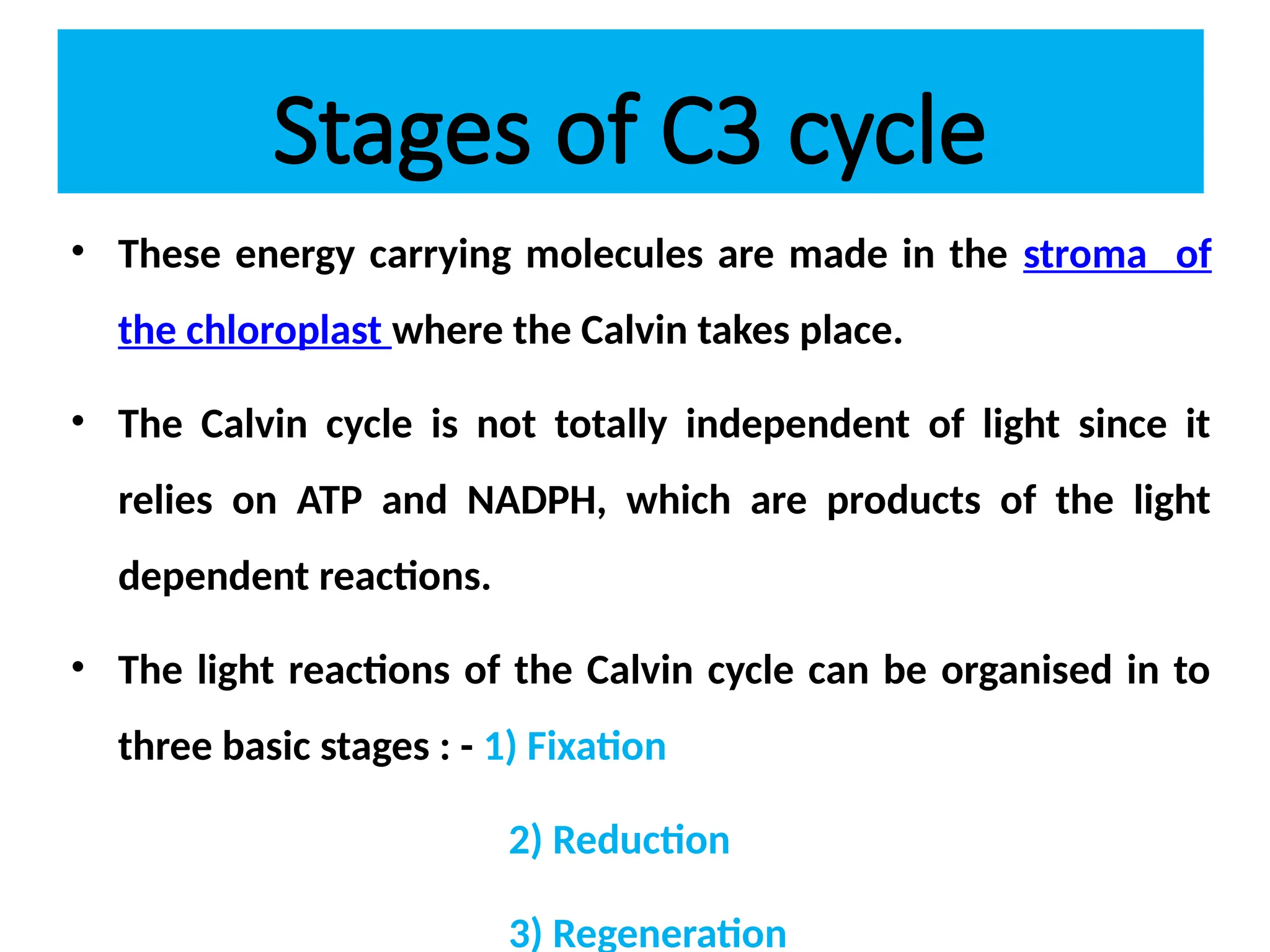 Calvin cycle of photosynthesis processes | PPTX