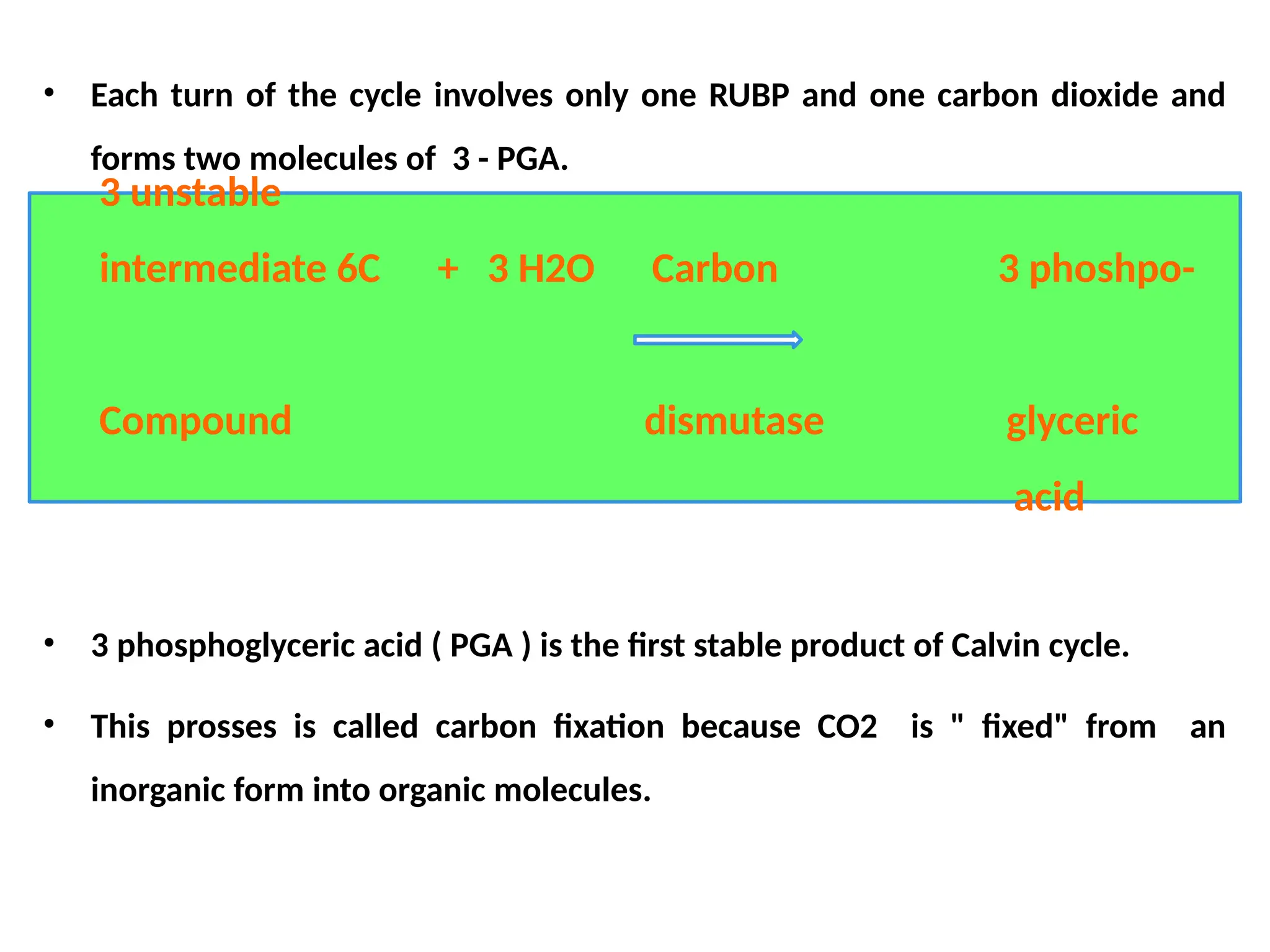 Calvin cycle of photosynthesis processes | PPTX
