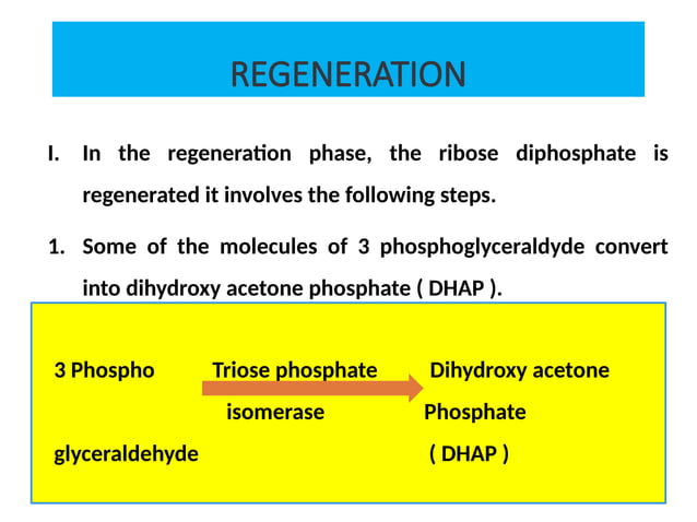 Calvin cycle of photosynthesis processes | PPTX