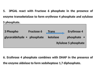 Calvin cycle of photosynthesis processes | PPTX