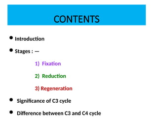 Calvin cycle of photosynthesis processes | PPTX