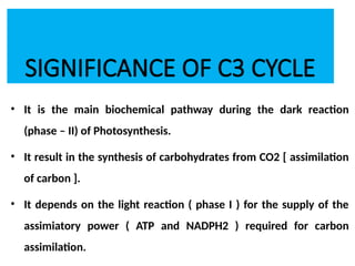 Calvin cycle of photosynthesis processes | PPTX