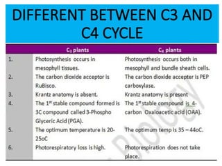 Calvin cycle of photosynthesis processes | PPTX