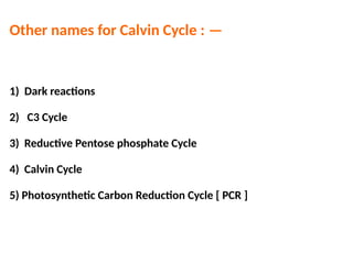 Calvin cycle of photosynthesis processes | PPTX