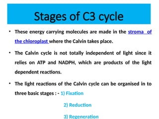 Calvin cycle of photosynthesis processes | PPTX
