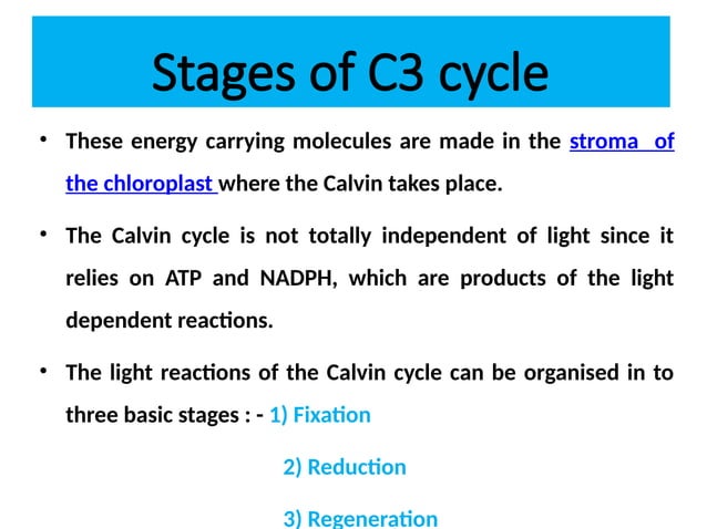 Calvin cycle of photosynthesis processes | PPTX