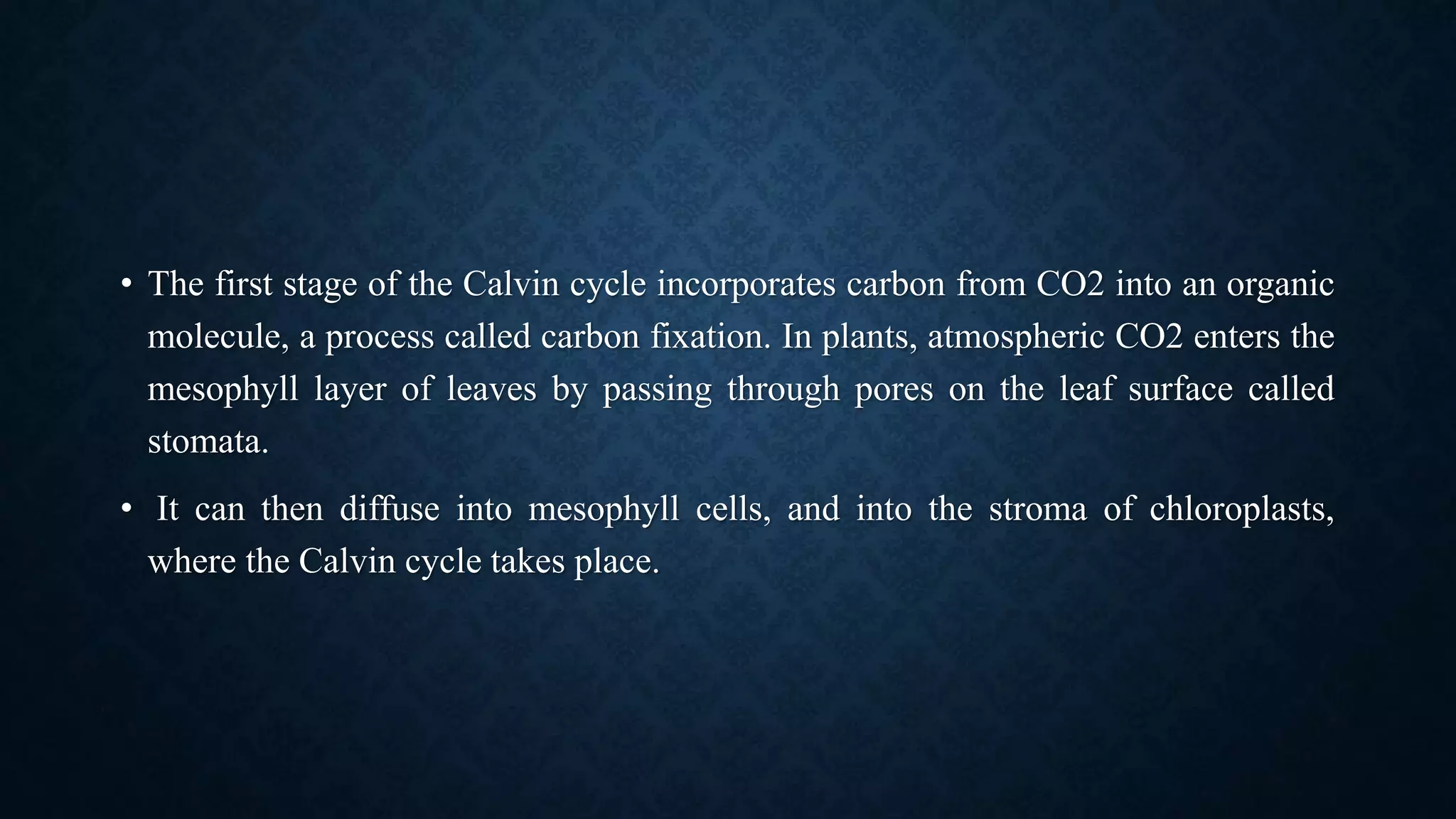 CALVIN CYCLE (C3 - PATHWAY).pptx