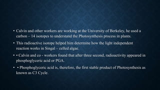 CALVIN CYCLE (C3 - PATHWAY).pptx