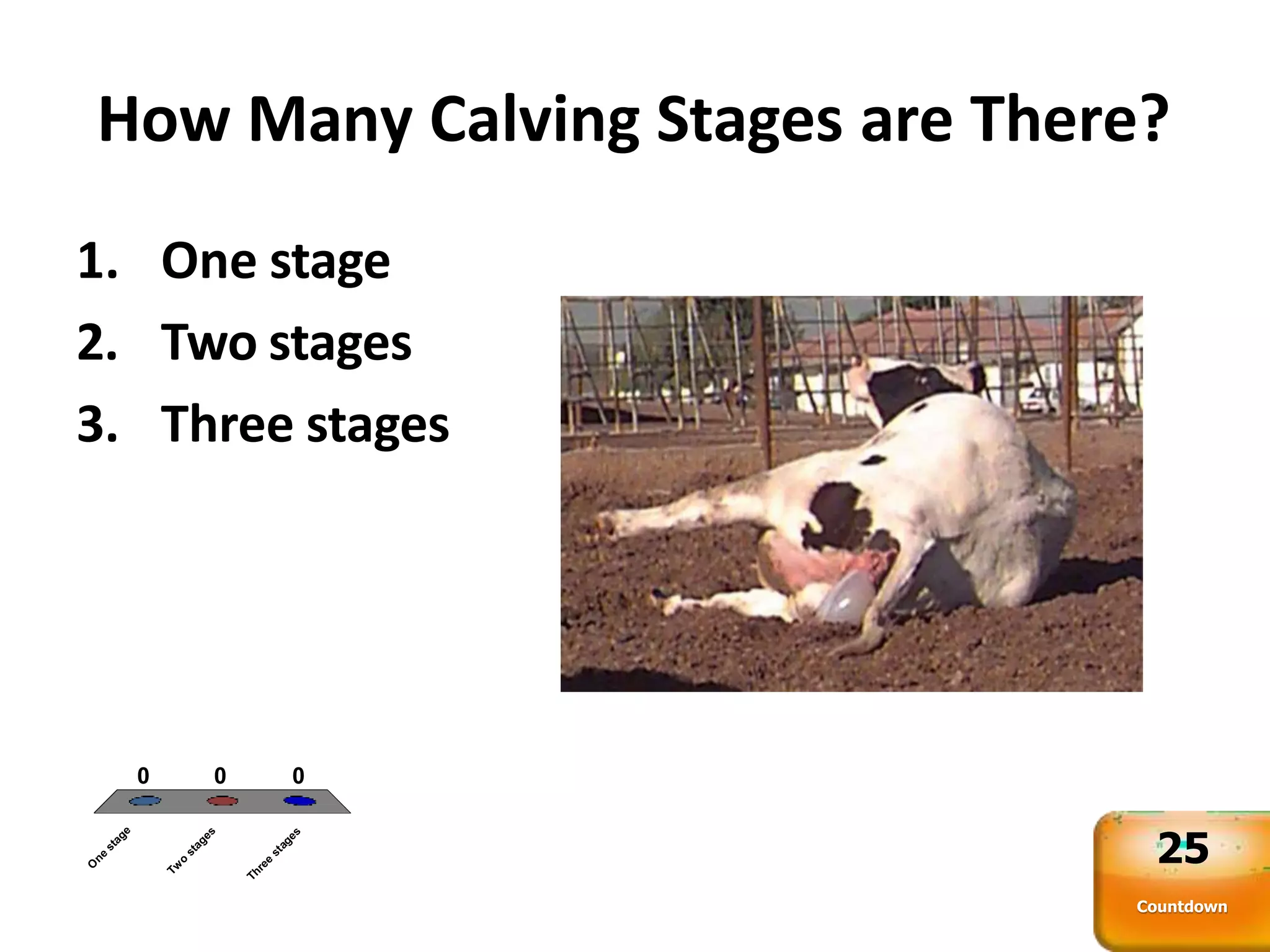 Calving-Management_ENGLISH.8.20.2015-3.pptx