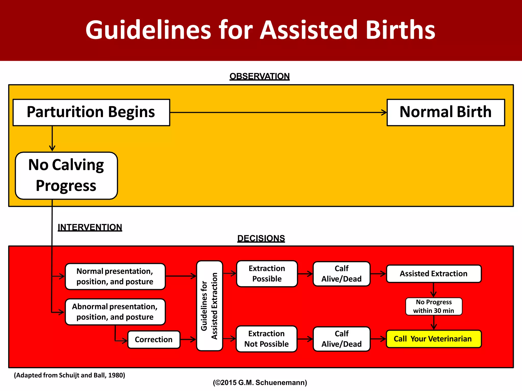 Calving-Management_ENGLISH.8.20.2015-3.pptx