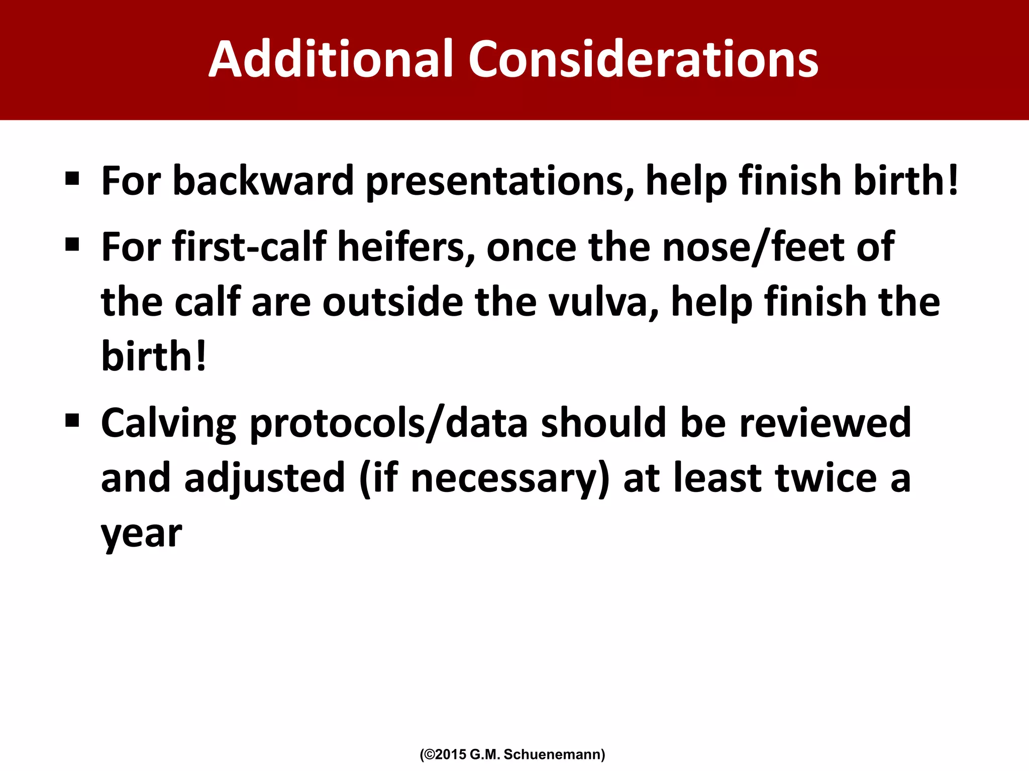 Calving-Management_ENGLISH.8.20.2015-3.pptx