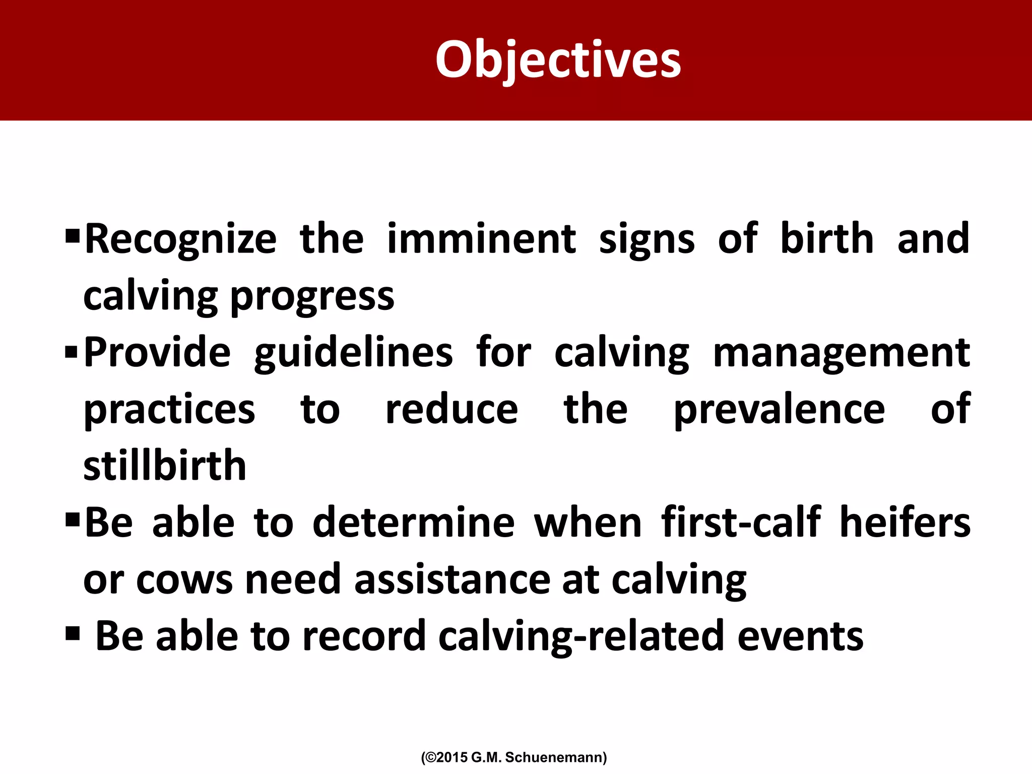 Calving-Management_ENGLISH.8.20.2015-3.pptx