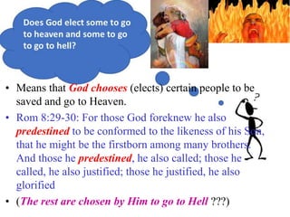 Calvinism: The Doctrine of Predestination | PPT