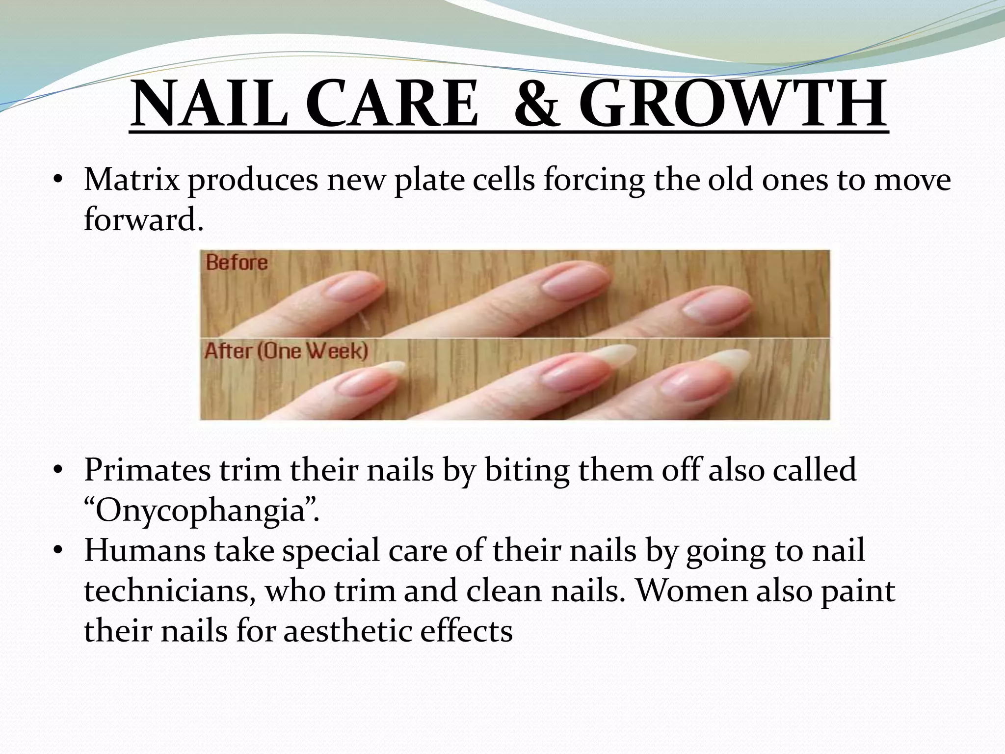 Calws hoofs and nails (final) | PPTX