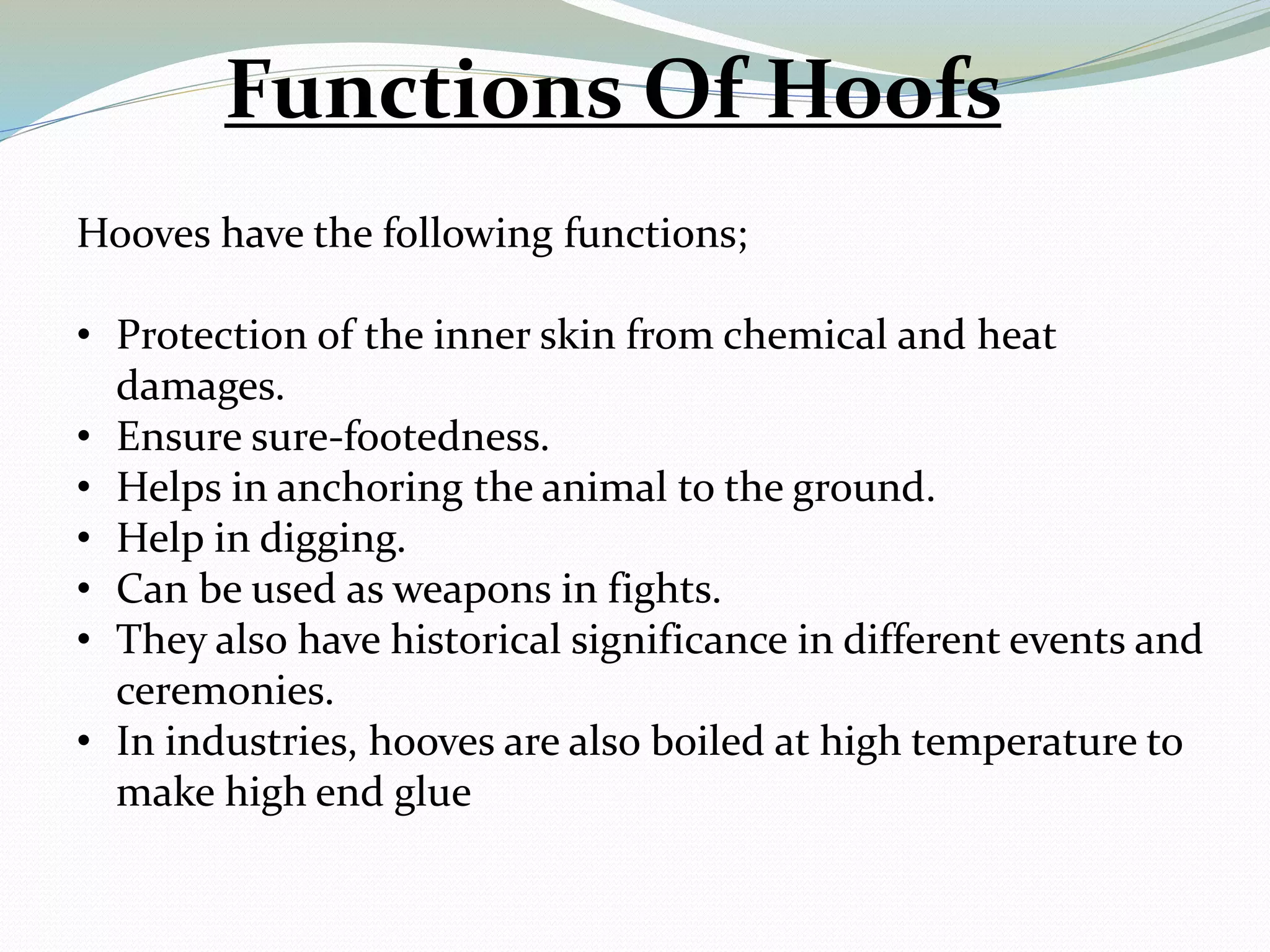 Calws hoofs and nails (final) | PPTX