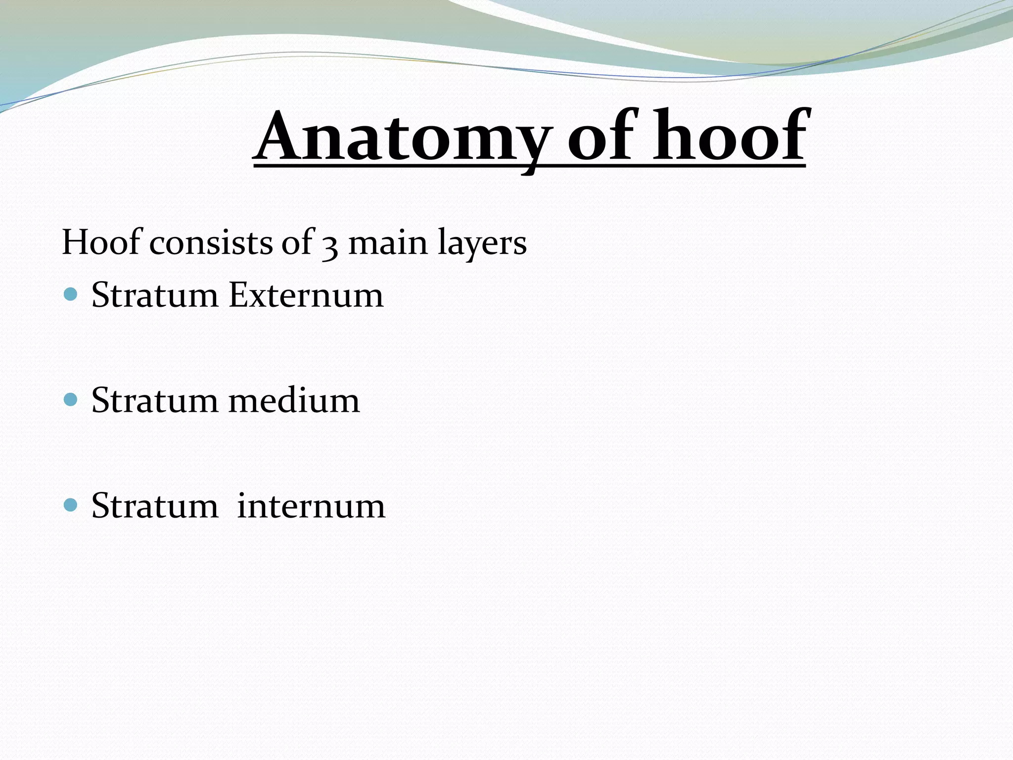 Calws hoofs and nails (final) | PPTX