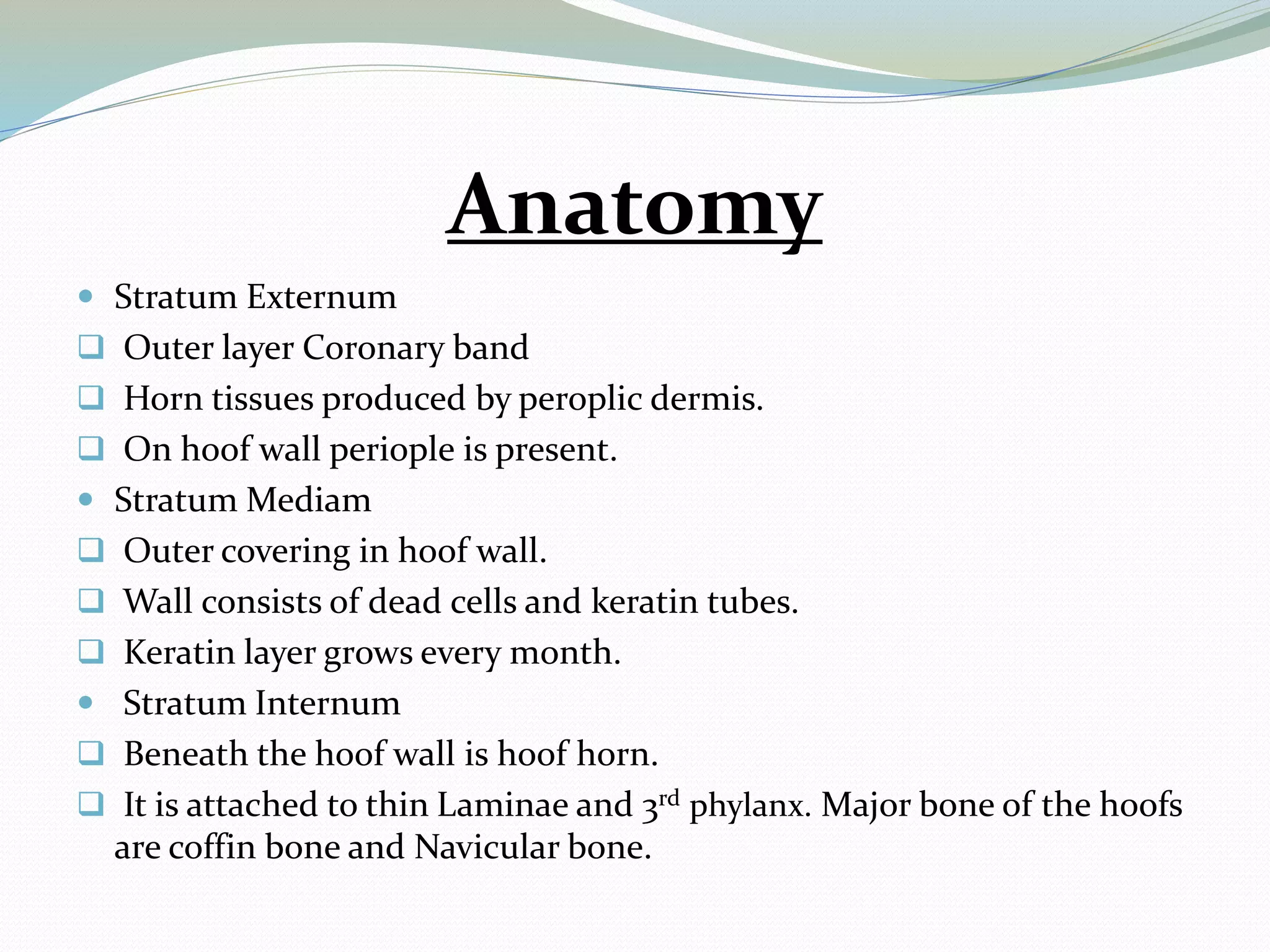 Calws hoofs and nails (final) | PPTX