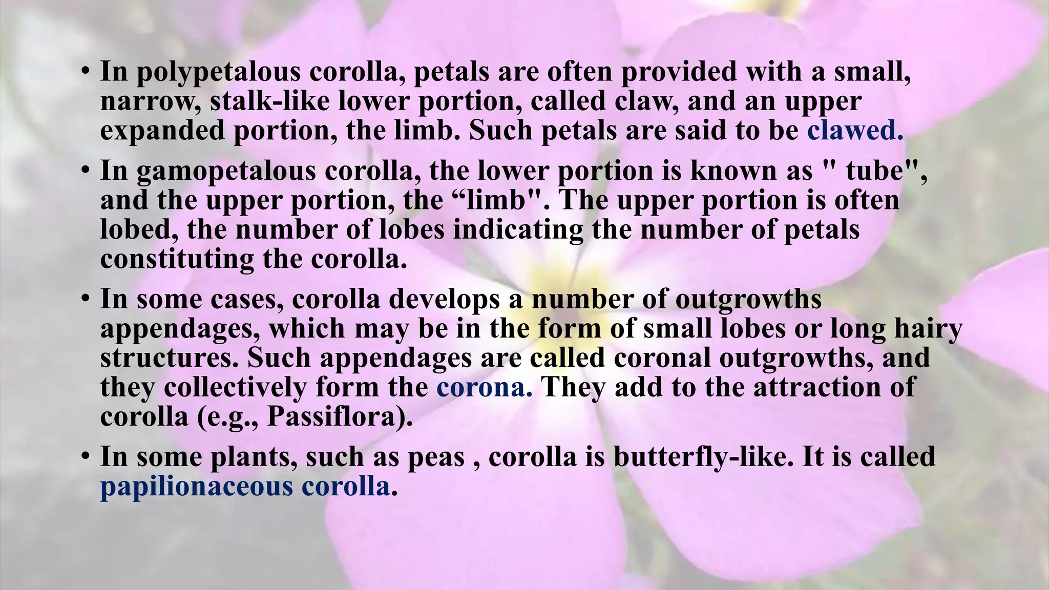 non essental whorls.pptx | Gardening | Home & Garden