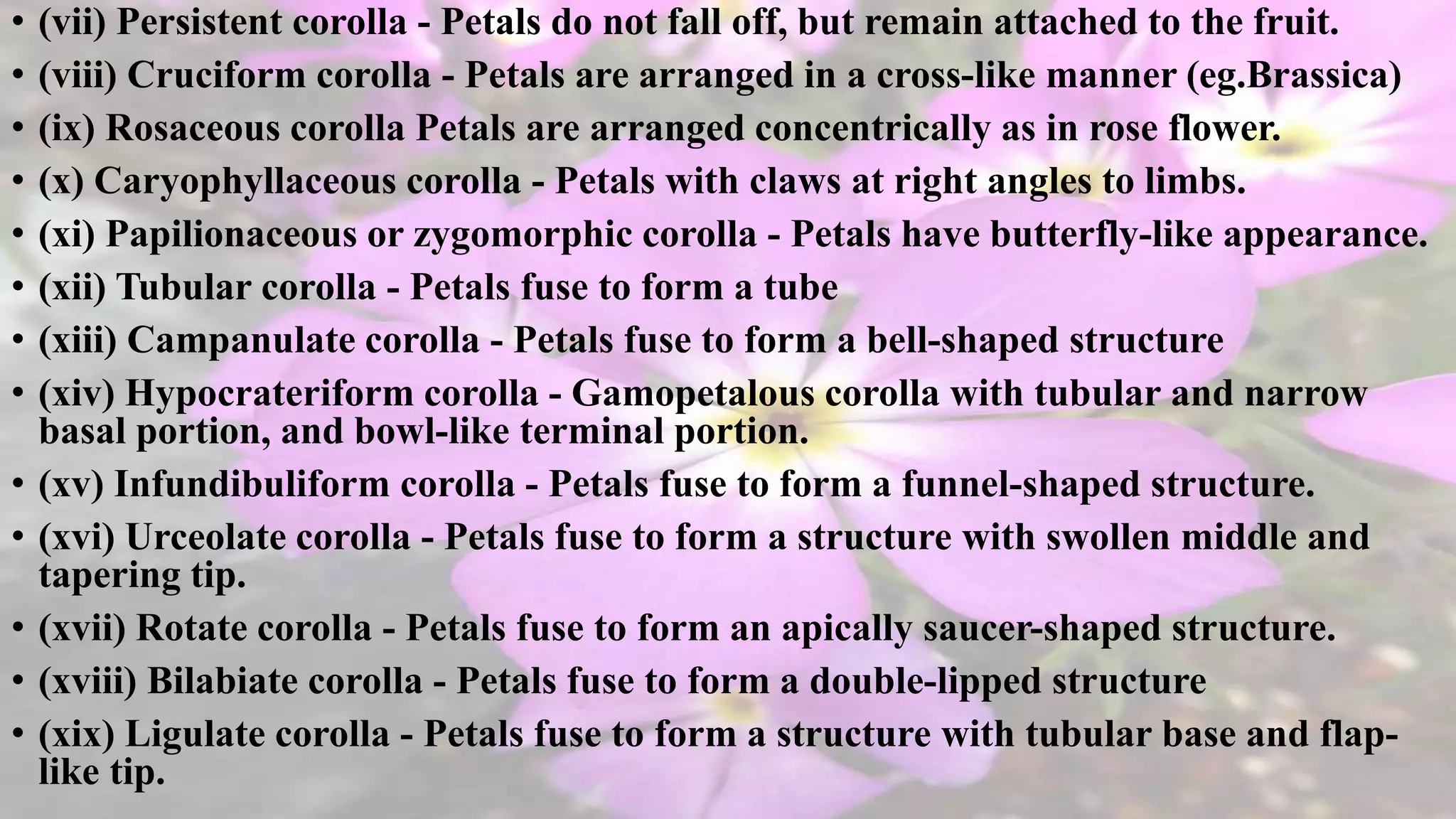 non essental whorls.pptx