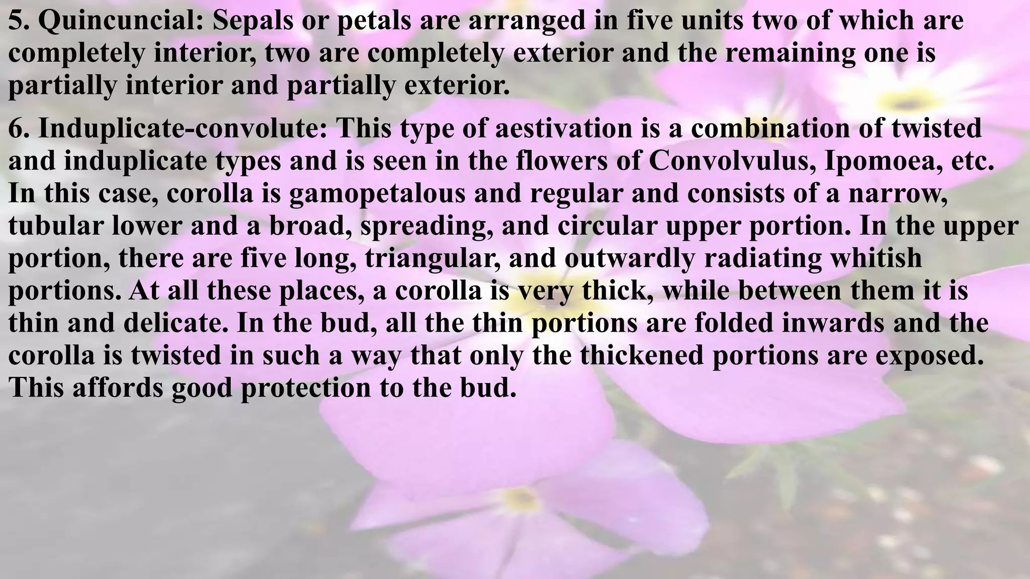 non essental whorls.pptx