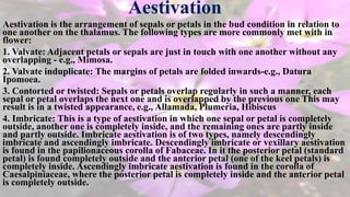 non essental whorls.pptx | Gardening | Home & Garden