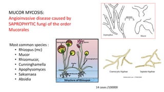 Mucormycosis.pptx