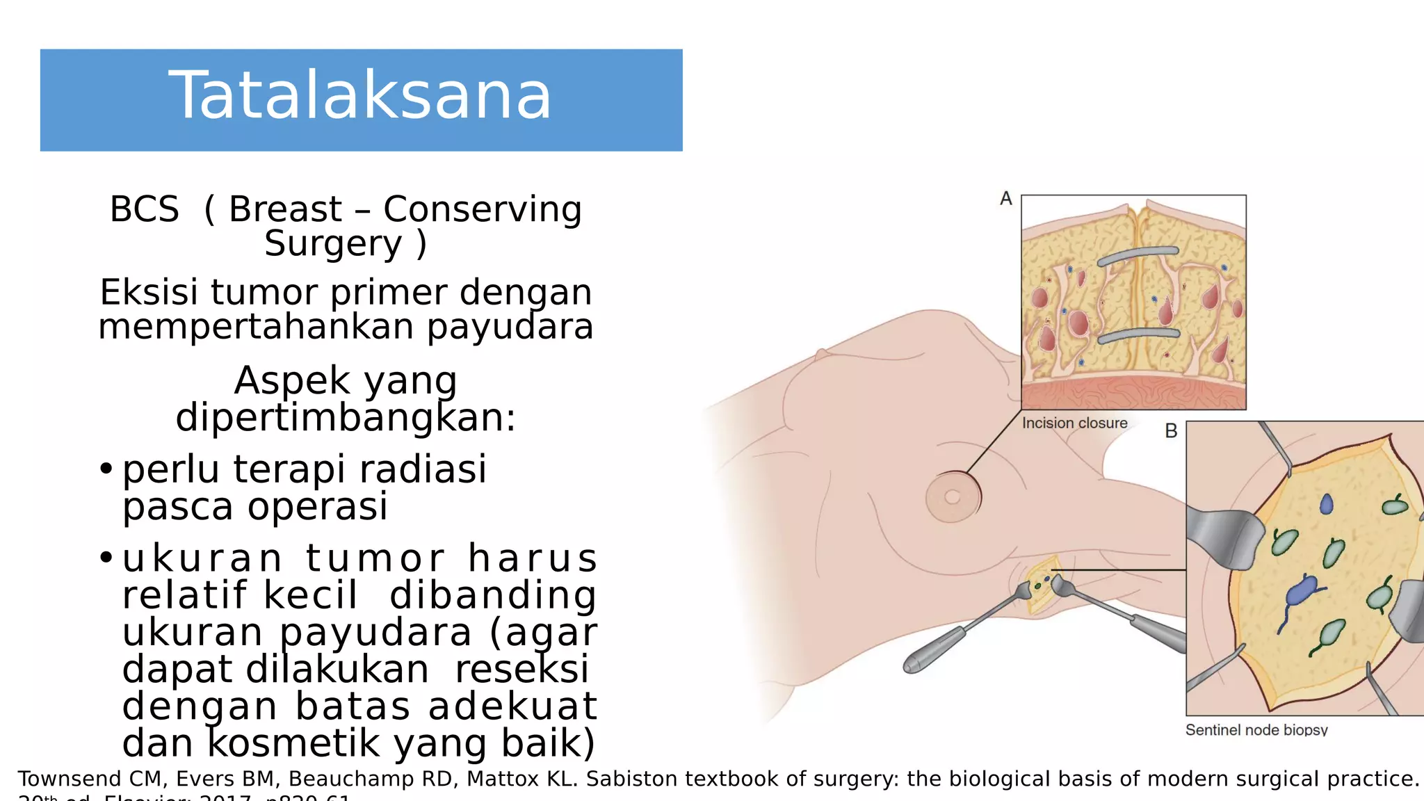 Ca mammae muhammad sobri maulana | PPT