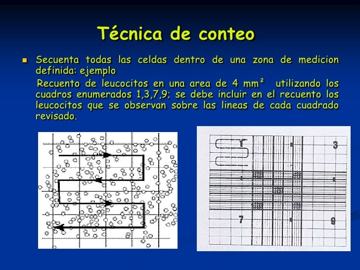 Camara de recuento neubauer