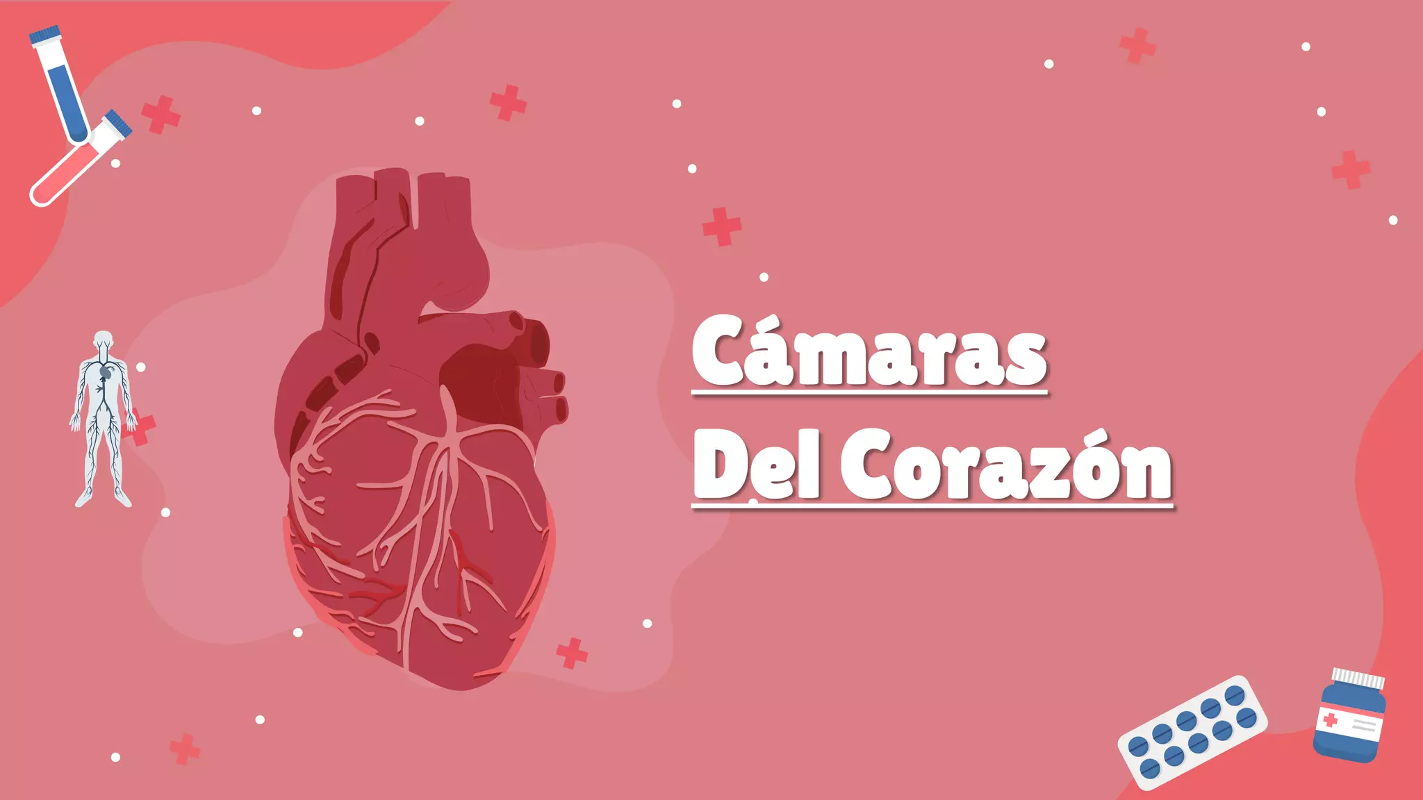 Camaras del corazón.pptx