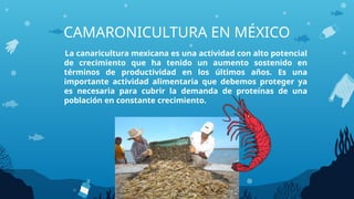 CAMARONICULTURA valdes estefania g3 GA.pptx