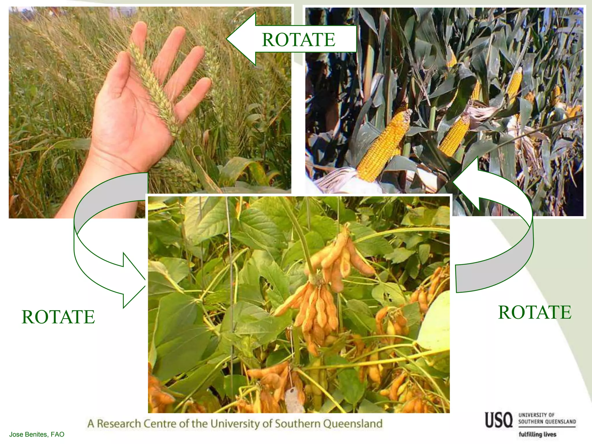 Conservation Agriculture: Fundamentals | PPTX