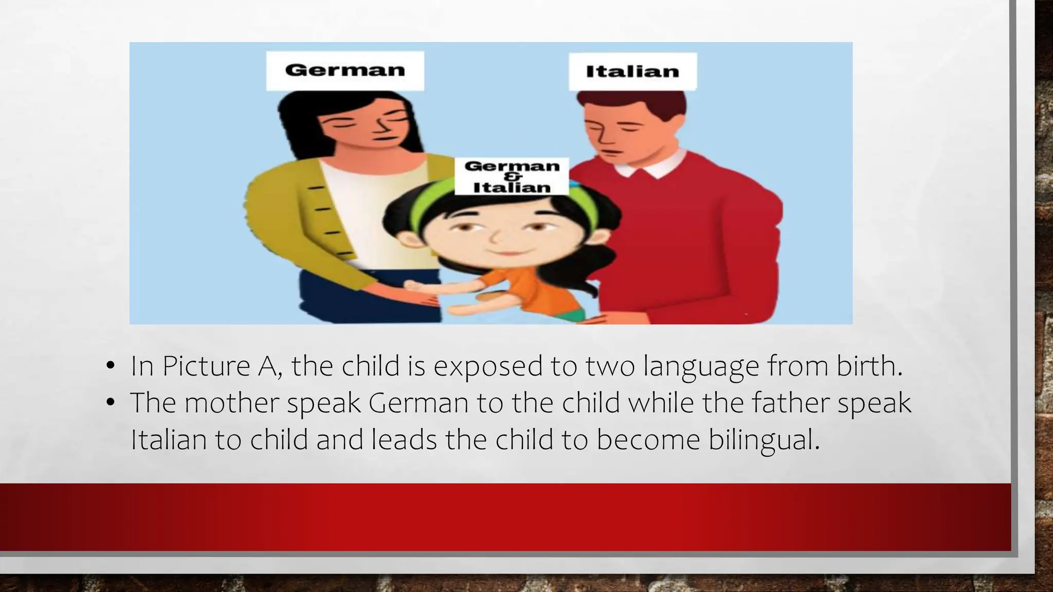 The development of bilingualism: a power point presentation | PPTX